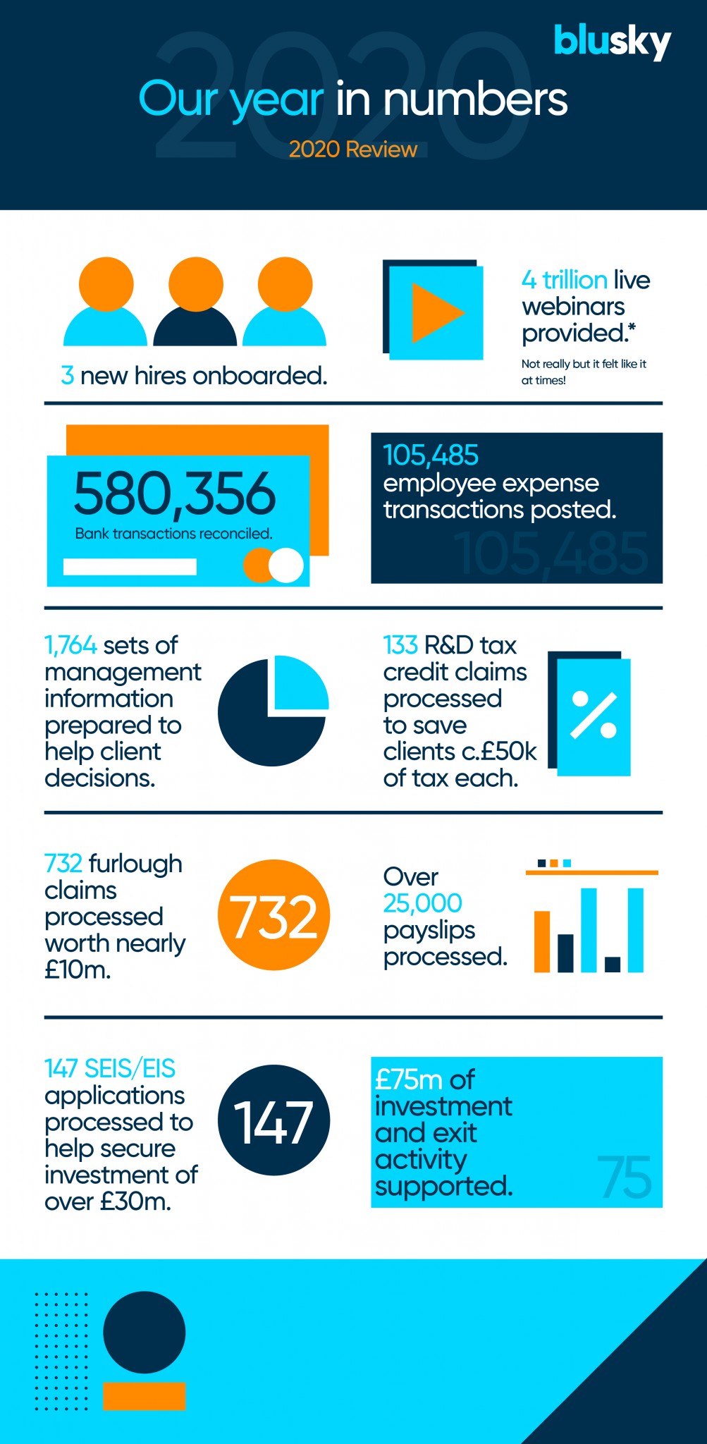 Blu Sky's 2020 in Numbers: Infographic